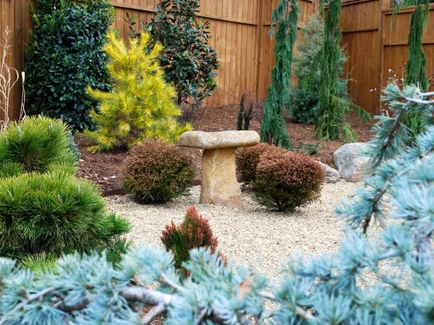 landscape design with pine trees