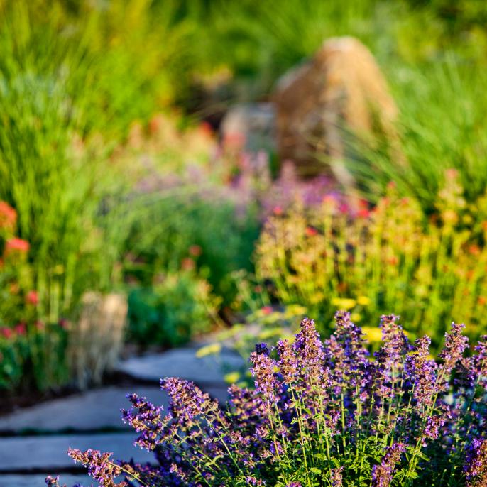 Lindgren Landscape | HGTV