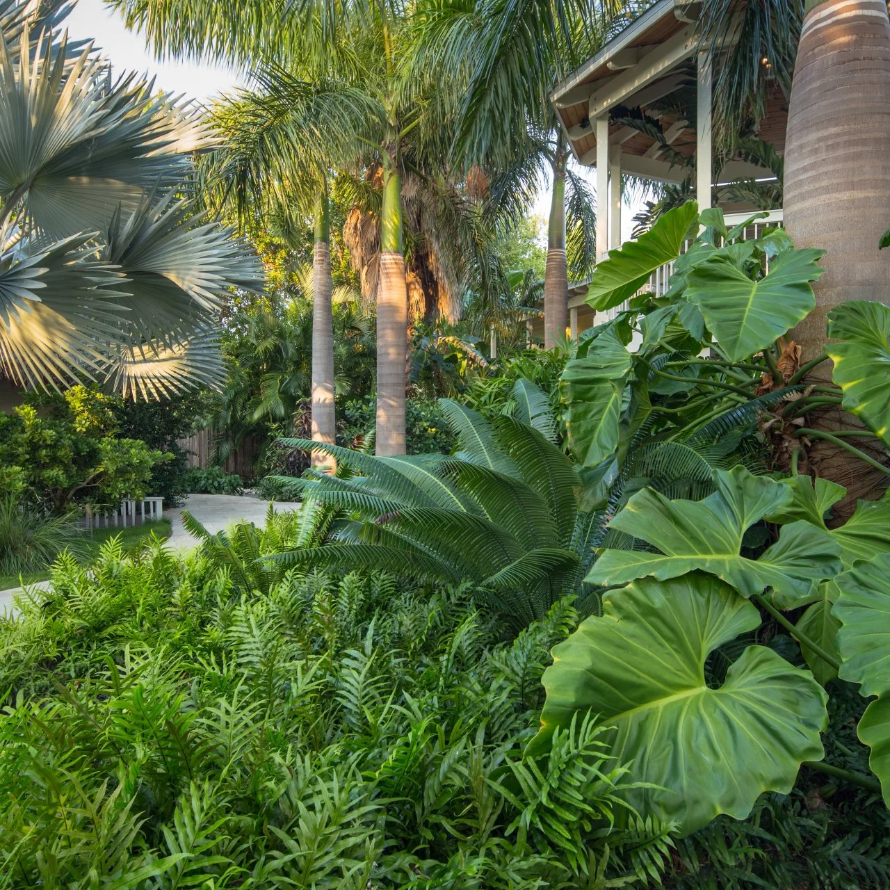 Tropical Garden Plans A Tropical Garden In Zone 9 — The Florida