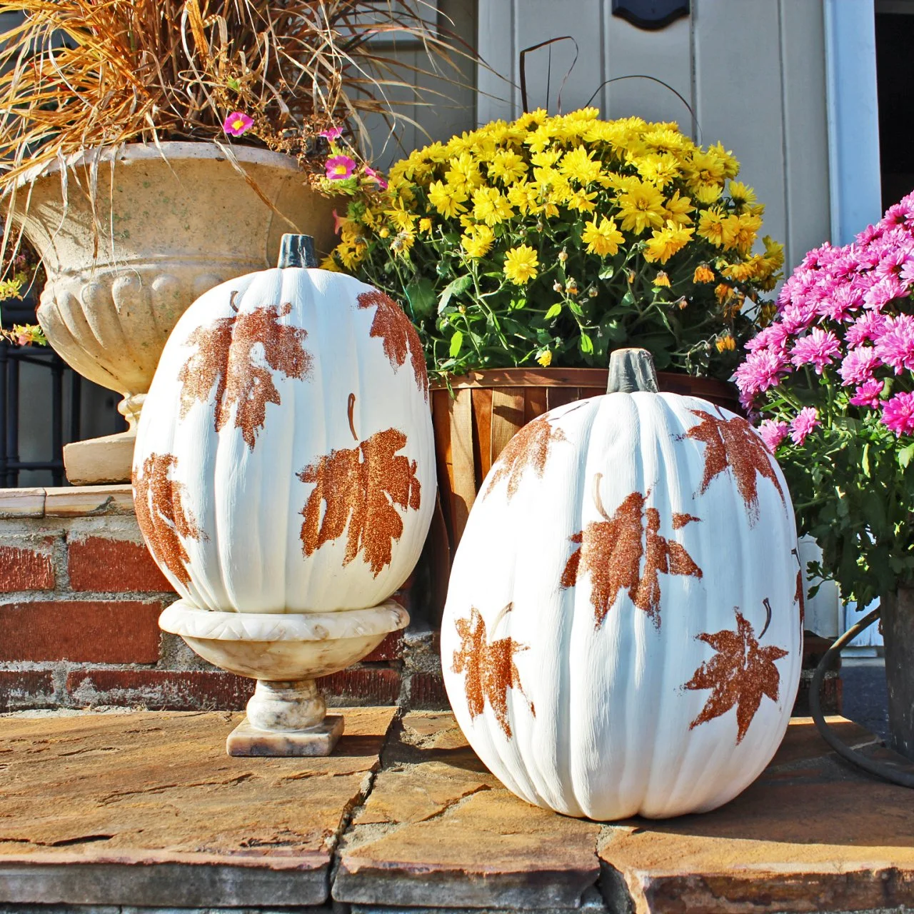 falling leaves pumpkin