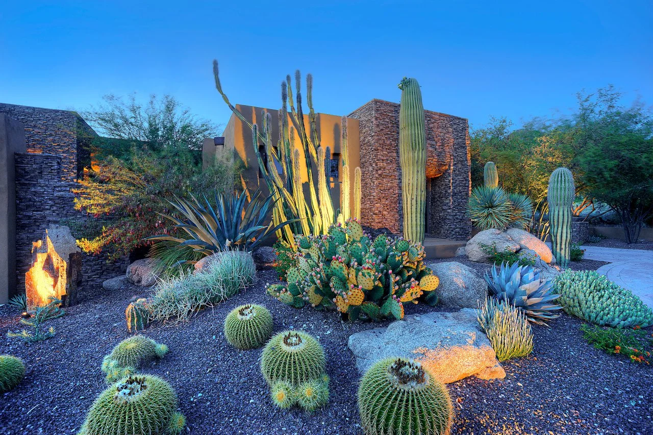 Desertscape Landscaping Ideas