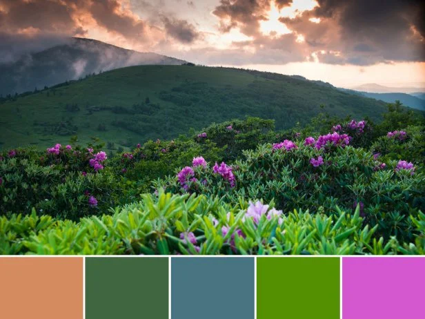 18 Color Palettes Inspired by National Parks | HGTV