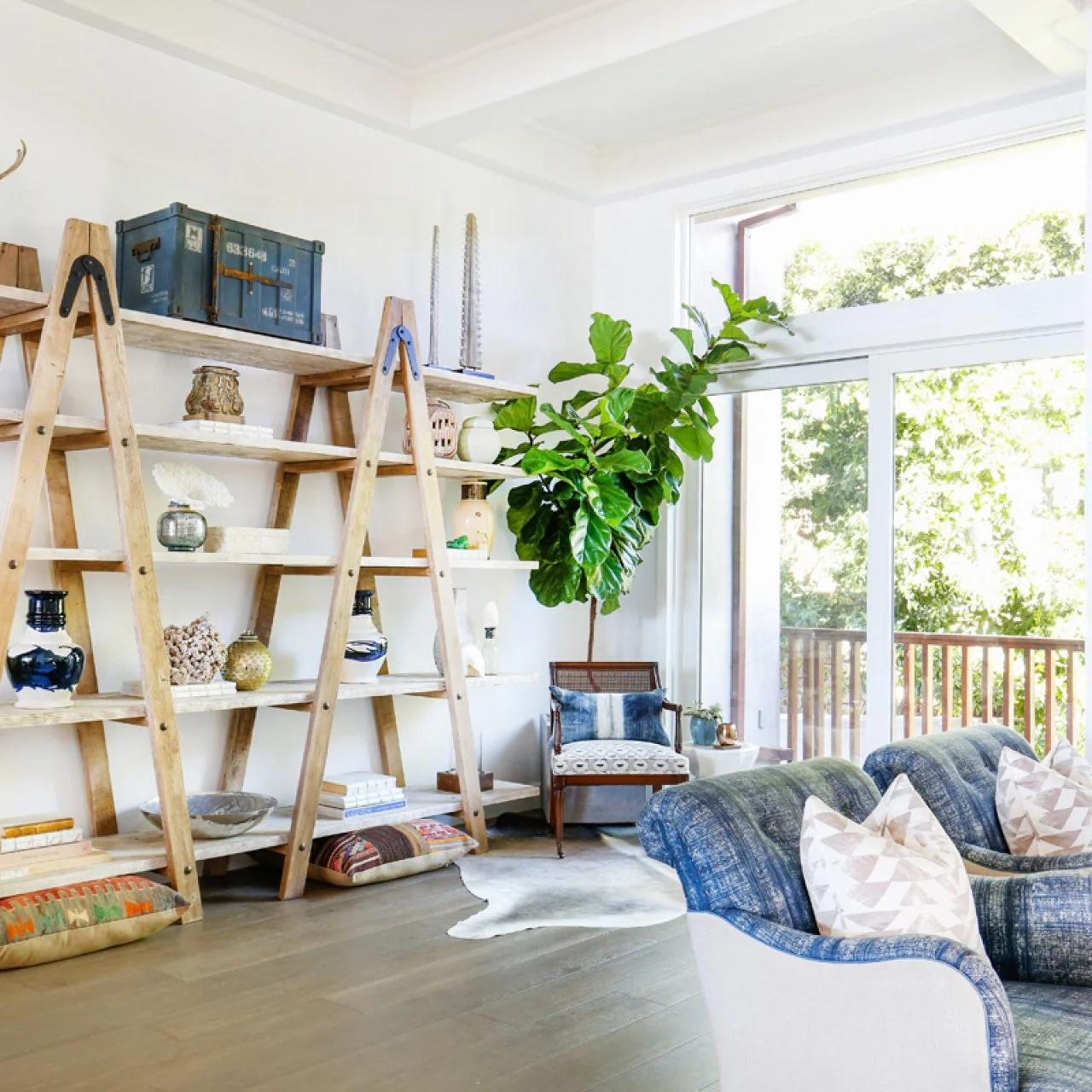 fig tree interior design