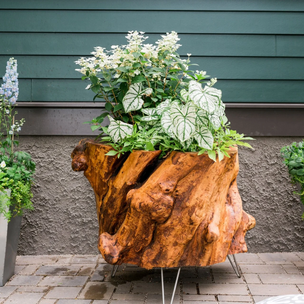 Planters Made From Tree Stumps How To Create A Tree Stump Planter