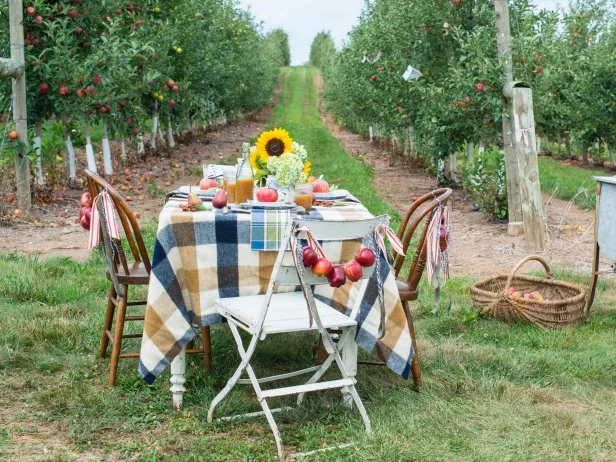 Celebrate Fall With an Apple-Themed Outdoor Lunch | HGTV