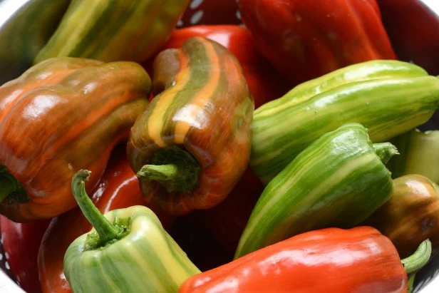 10 Great New Fruit and Vegetable Varieties for Your Garden | HGTV