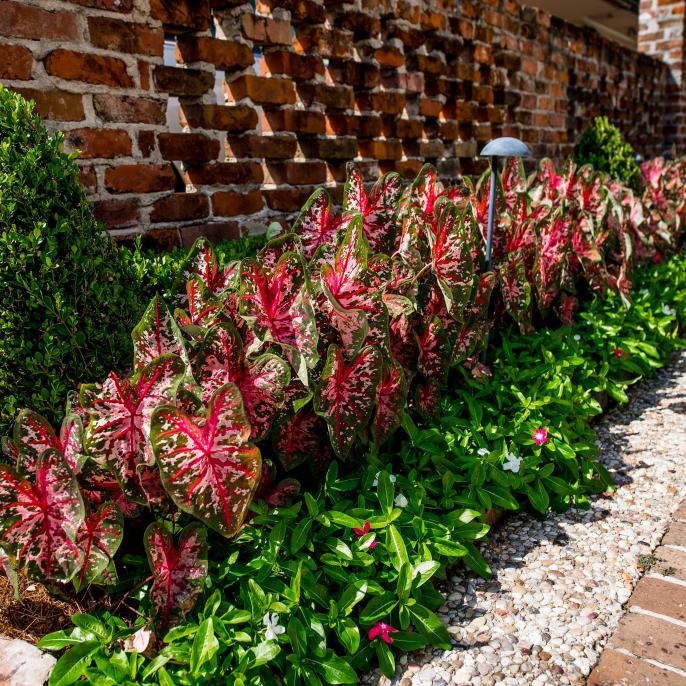 Mullin Landscape Associates | HGTV