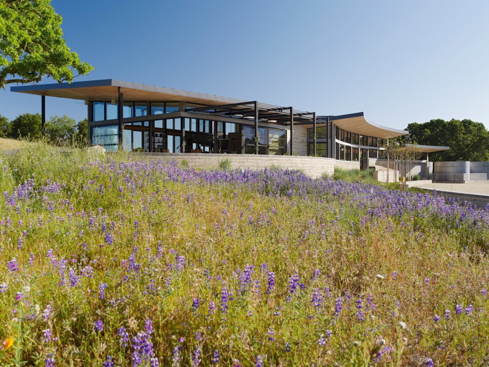 Top 5 Features of Modern Mountain Design | HGTV