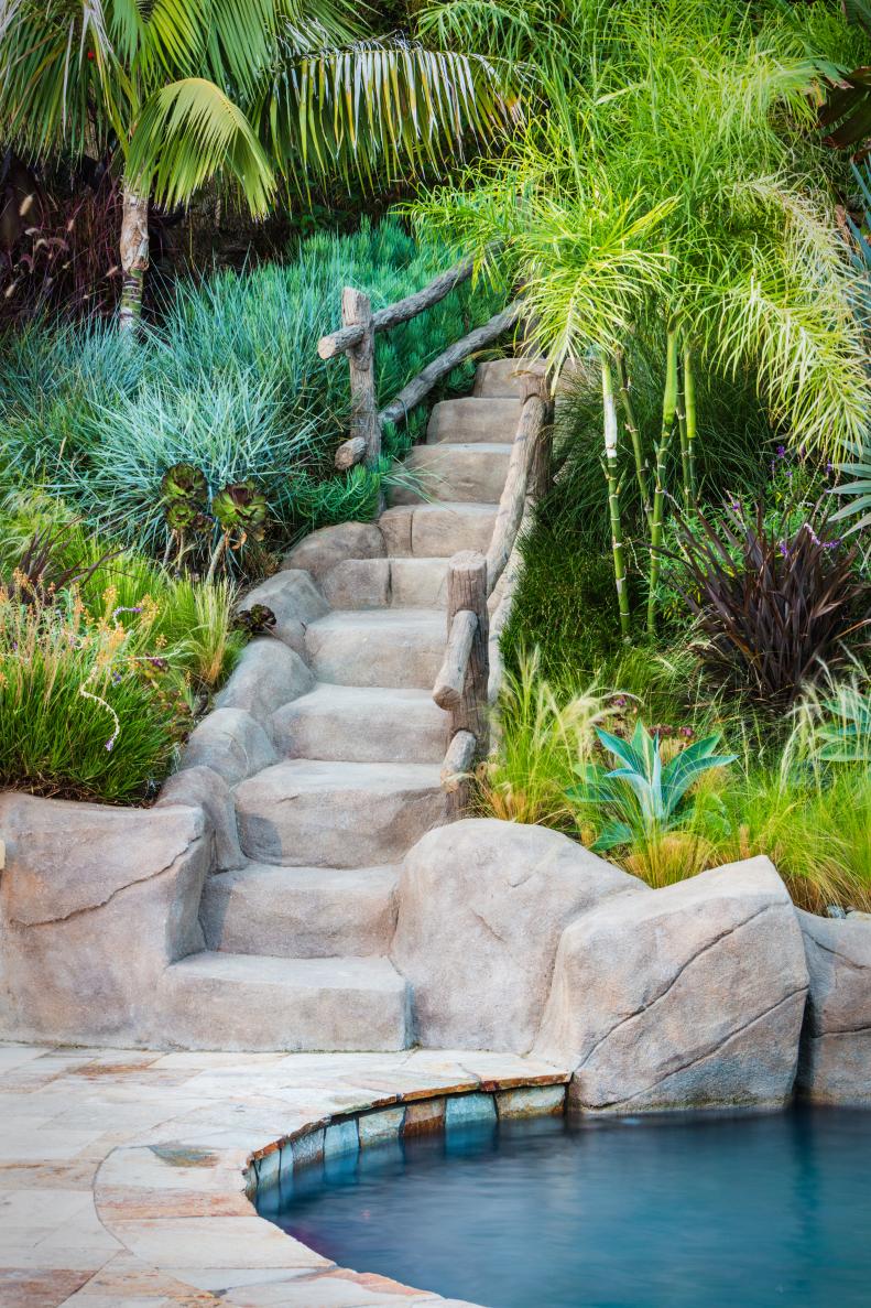 Tropical Backyard With Water Slide, Caves for Exploring | Distinguished ...