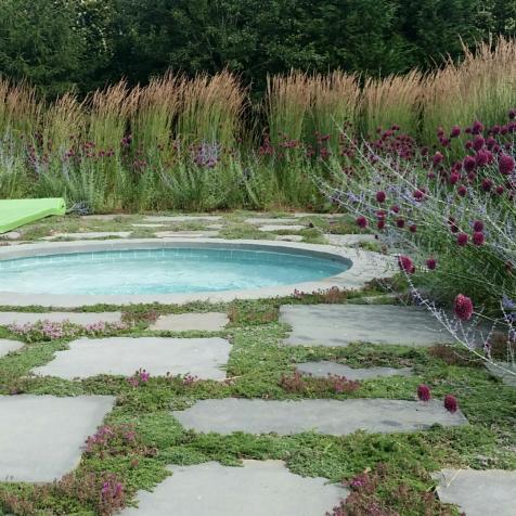 Davis Landscape Design | HGTV