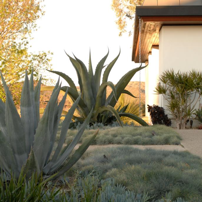 Lisa Gimmy Landscape Architecture | HGTV