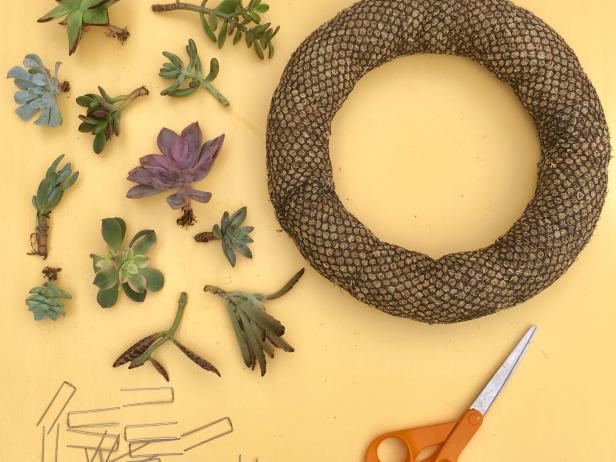 How To Make A Living Succulent Wreath | HGTV