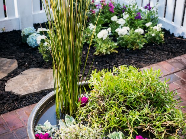 How to Make a Water Garden in a Pot | HGTV
