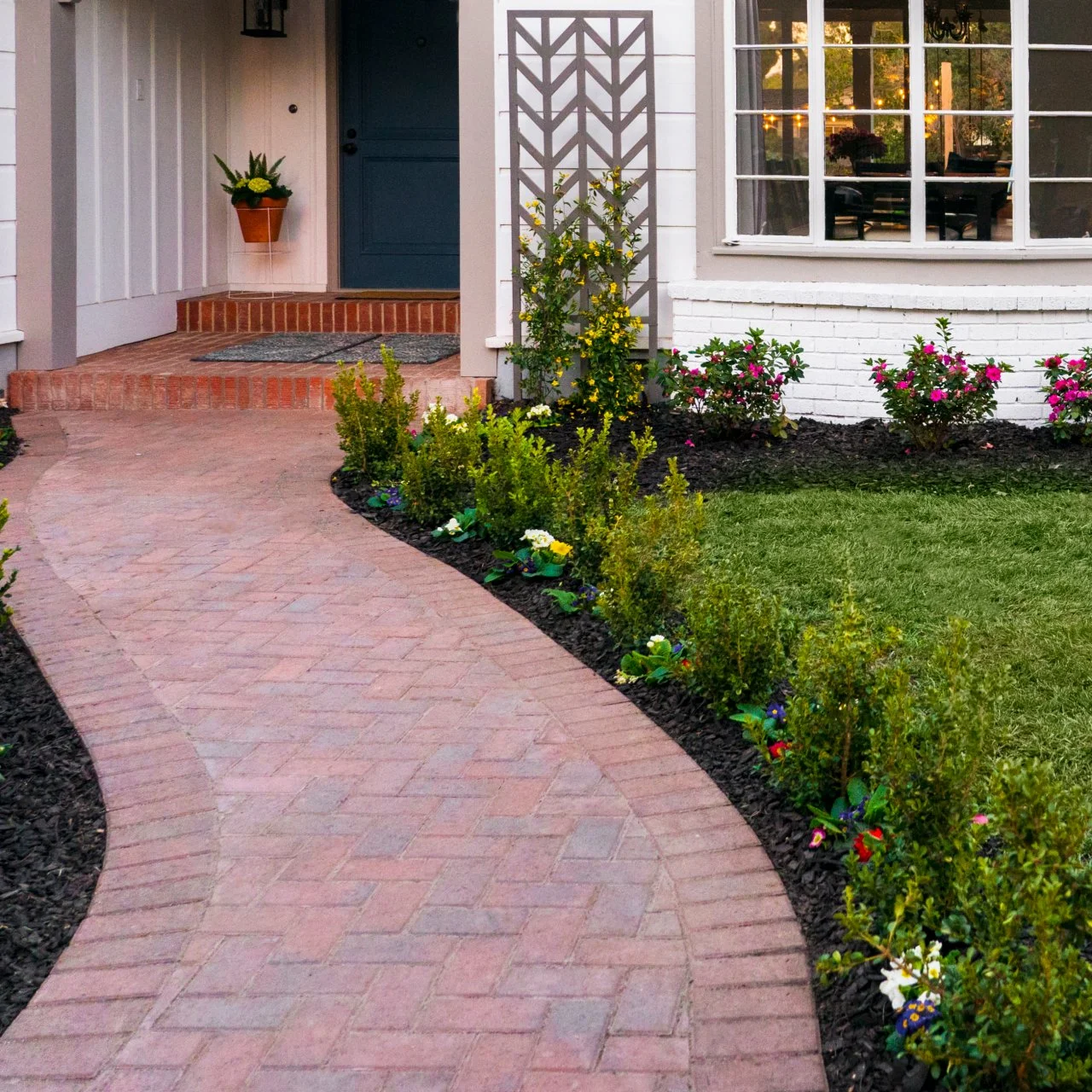 Front Walkway Shrubs
