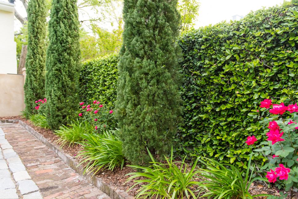 Photos | Carolina Landscape | HGTV