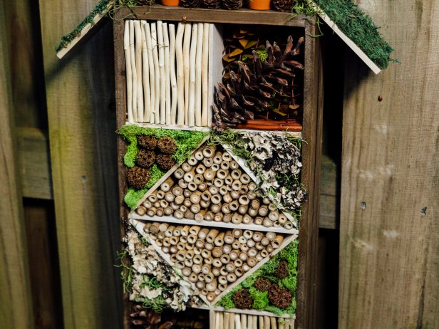 How To Build a Bug Hotel | HGTV
