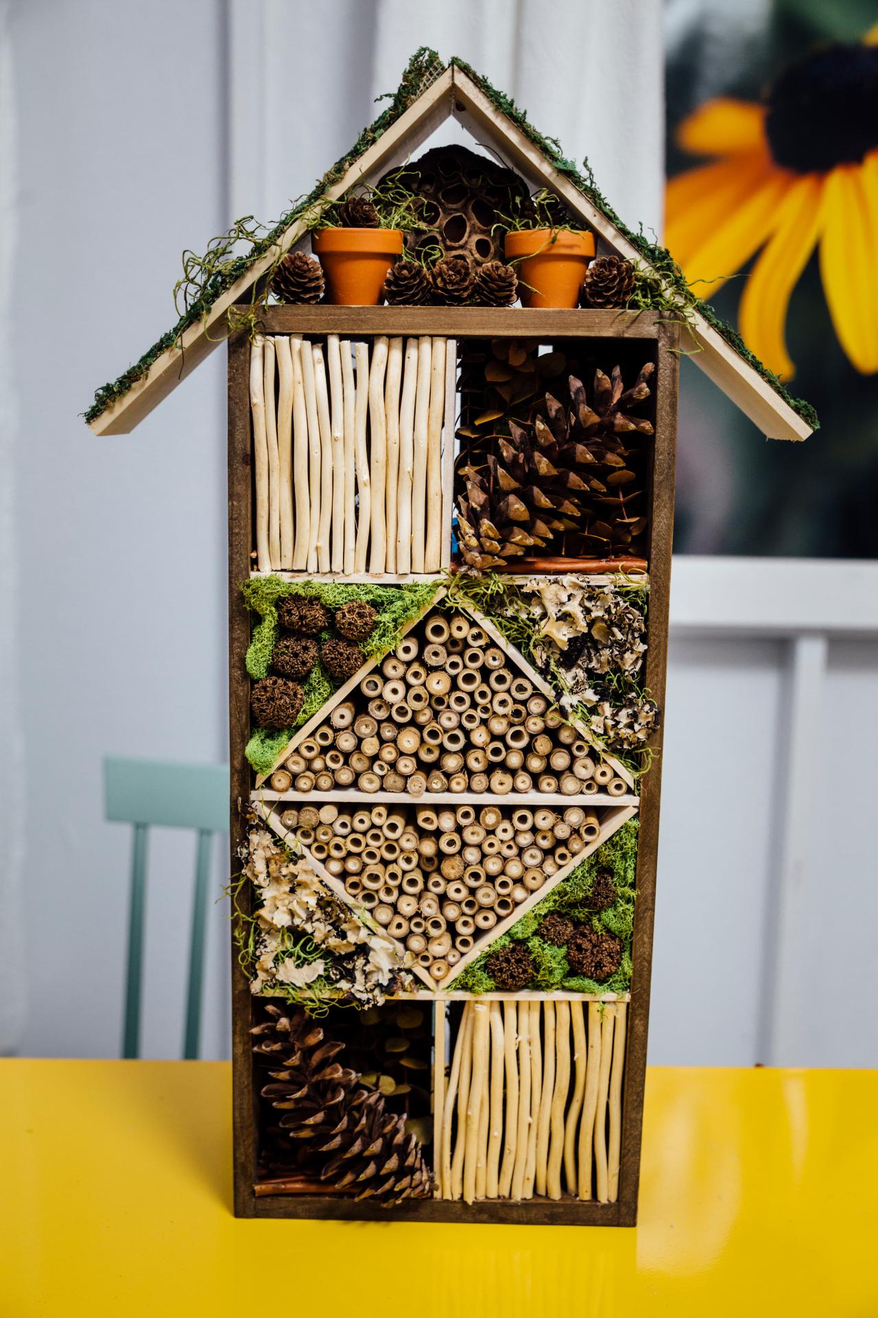 How To Build a Bug Hotel | HGTV