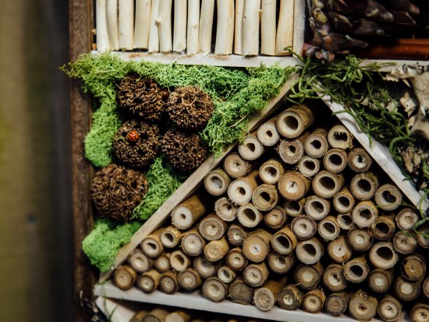 How To Build a Bug Hotel | HGTV