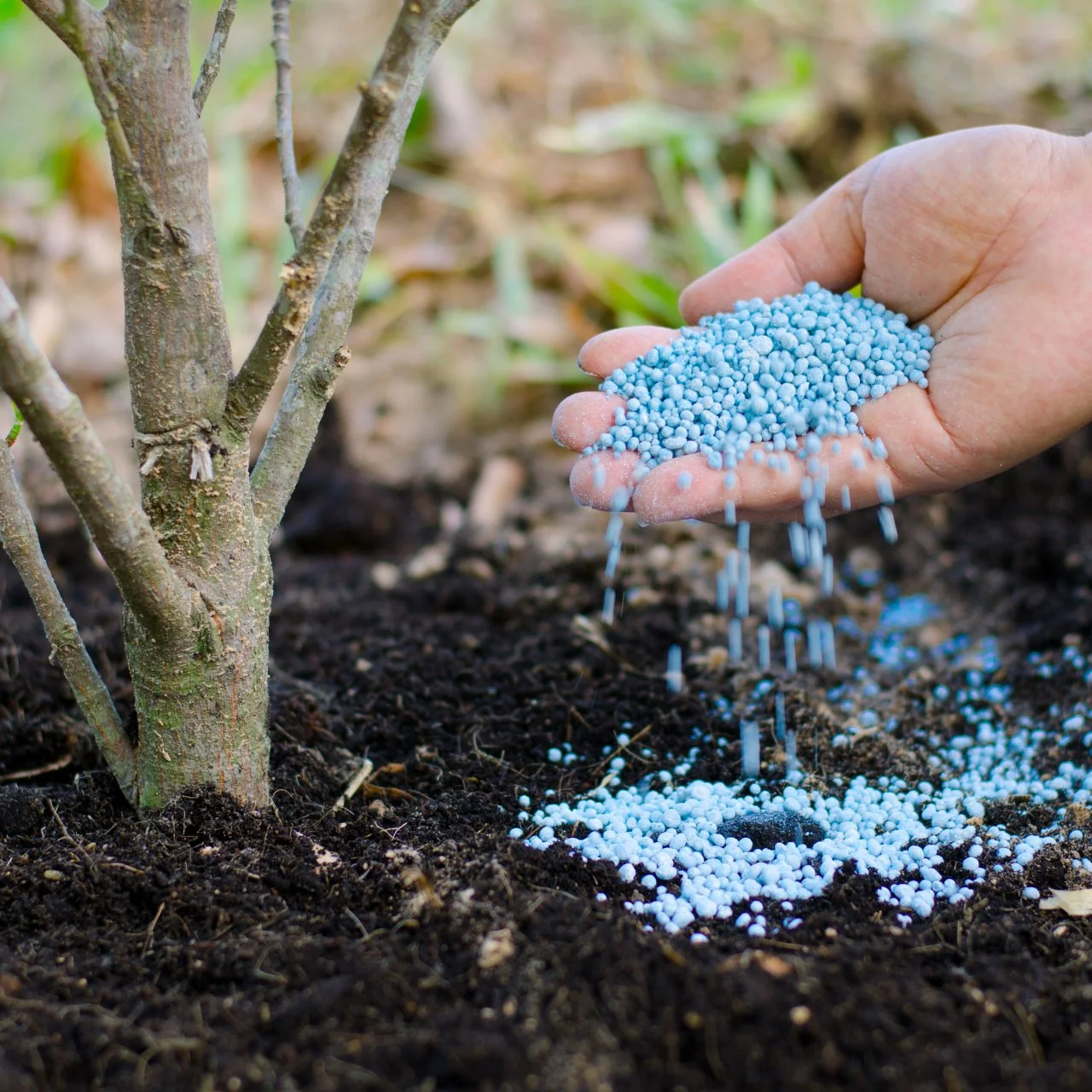 Plant fertilizer store