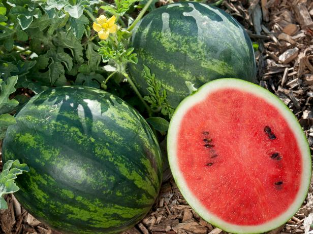 What Is Staggered Planting and How to Do It | HGTV