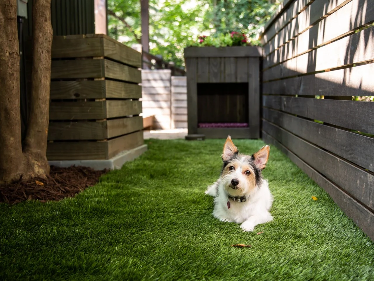 Dog Run Style House