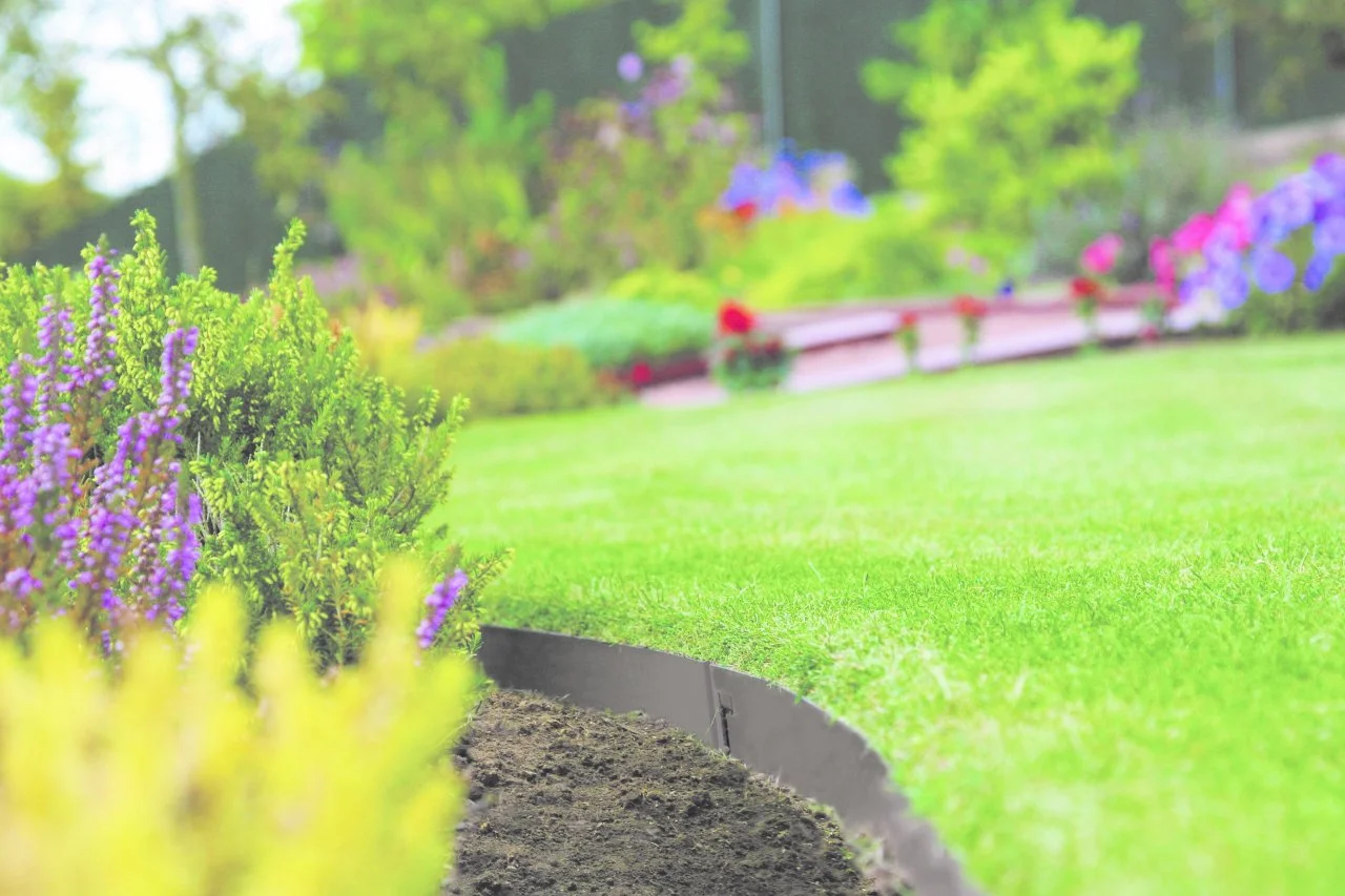 Diy Landscape Edging Ideas