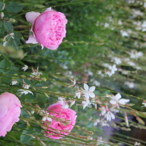 Christian Douglas Design | HGTV