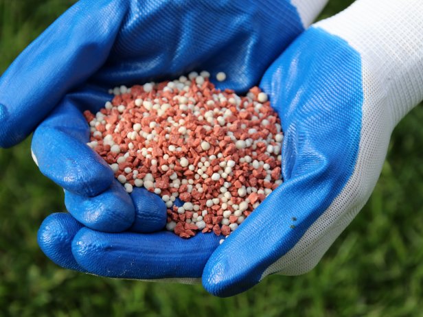 Learn How to Fertilize a Lawn | HGTV