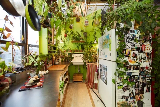 Tour Summer Rayne Oakes' New York Apartment With Over 750 Plants | HGTV
