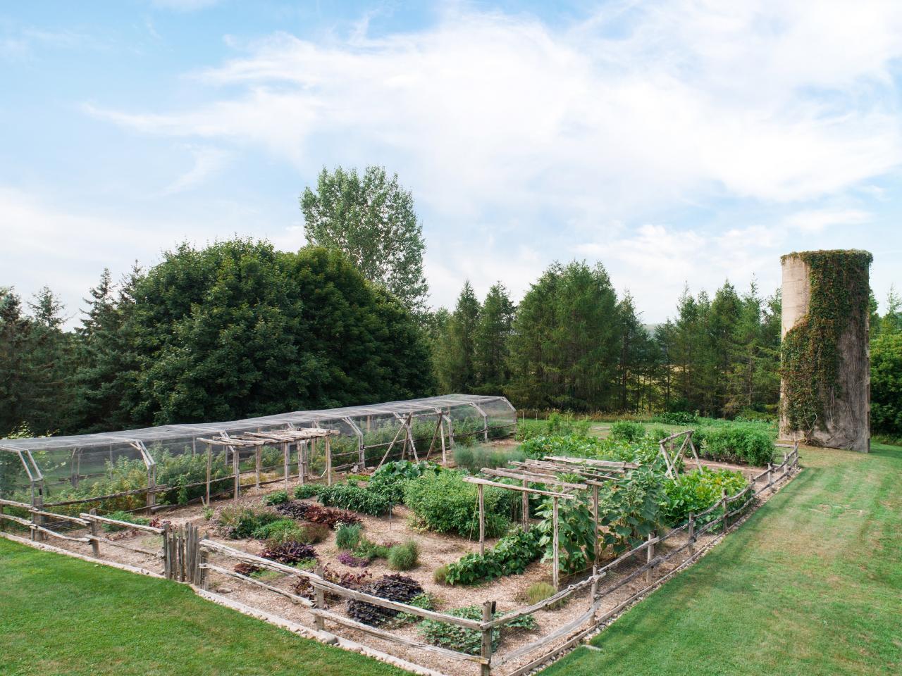 What Is Homesteading? | HGTV