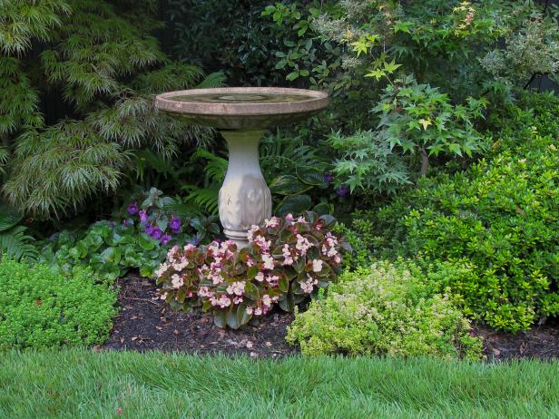 How to Use Water Features to Attract Birds to Your Yard | HGTV