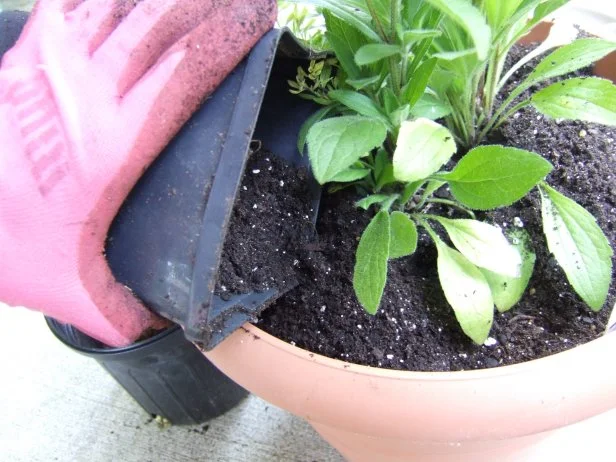 How to Fill Large Planters: Expert Tips for Perfect Planting – buzzlyo