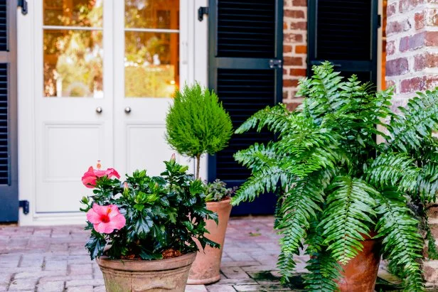 Learn How to Use The "Rules of Three" in Your Garden | HGTV