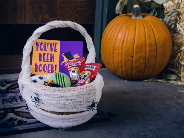 DIY Halloween Boo Basket for Dogs | HGTV