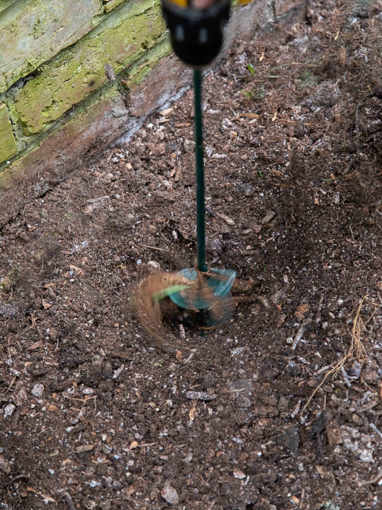 How to Prevent Critters From Stealing Your Garden Bulbs | HGTV