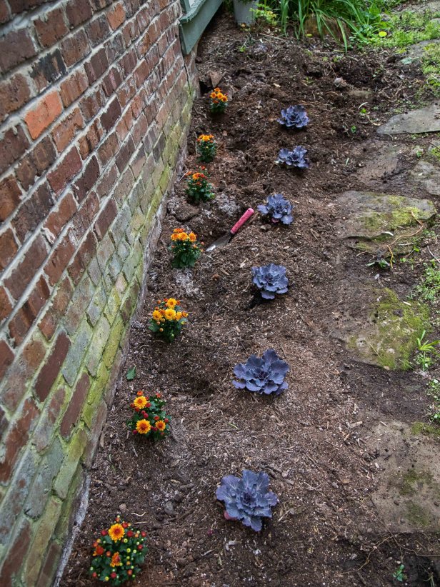 How to Prevent Critters From Stealing Your Garden Bulbs | HGTV