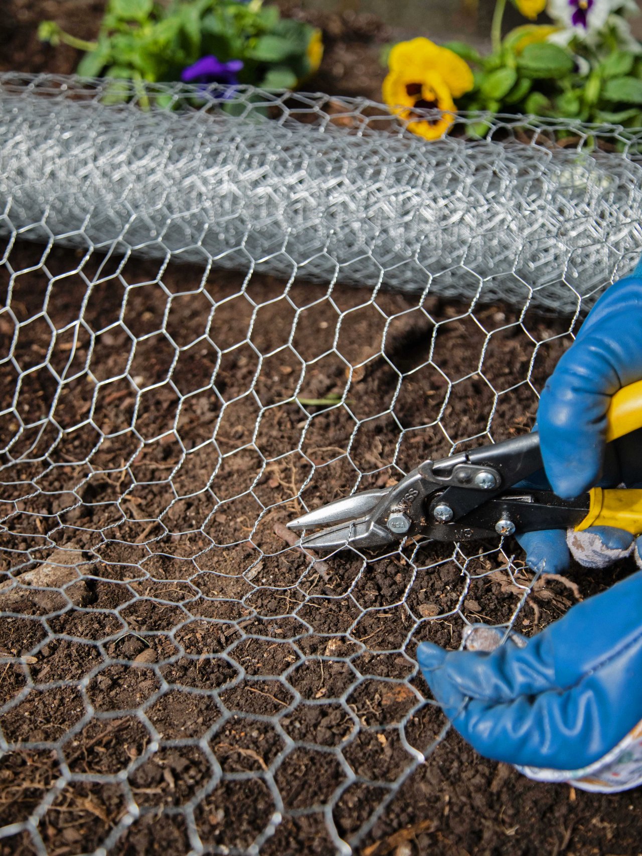 How to Prevent Critters From Stealing Your Garden Bulbs | HGTV