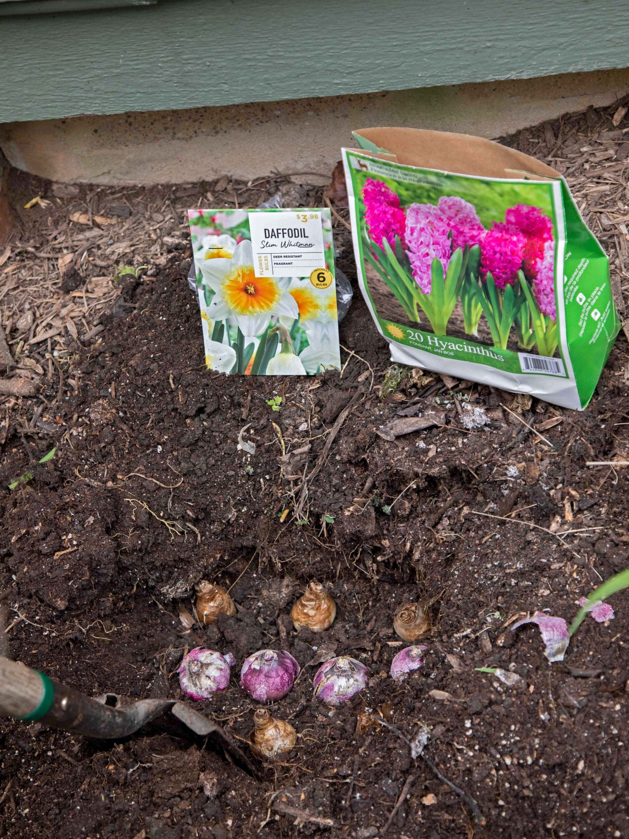 How to Prevent Critters From Stealing Your Garden Bulbs | HGTV