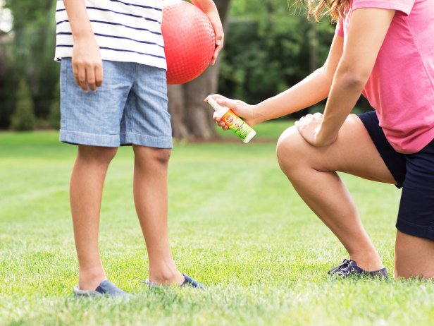 How to Prevent Chigger Bites | HGTV