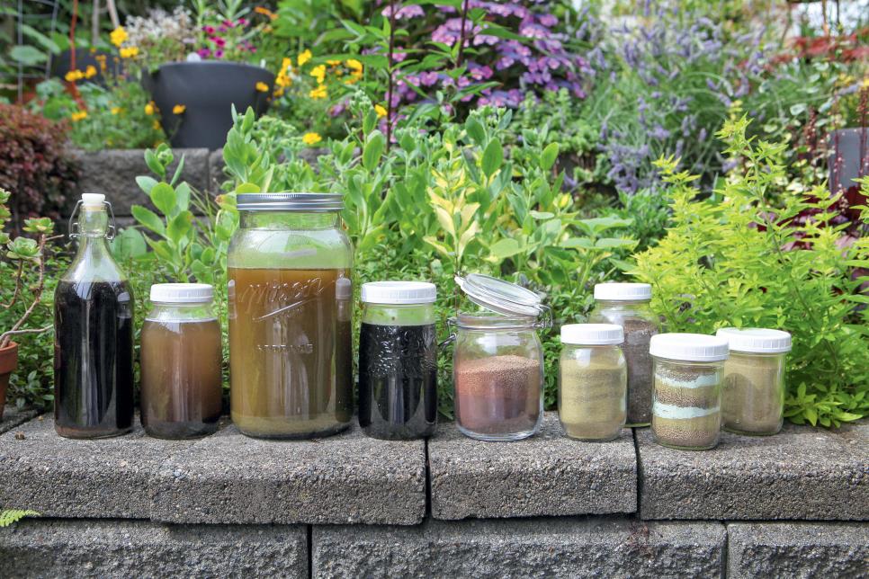 Homemade Pest Control | HGTV