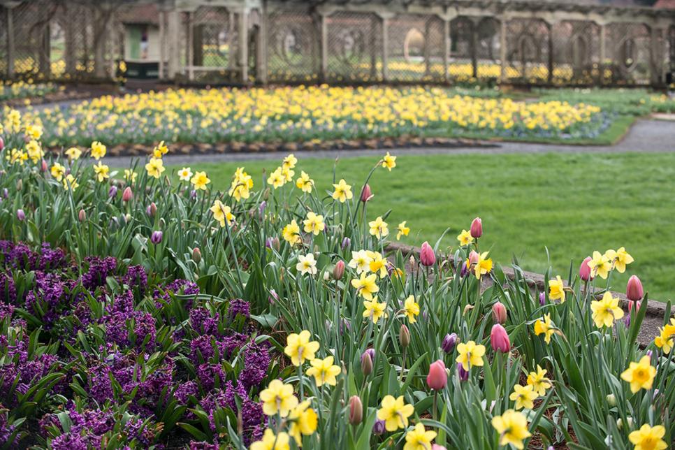 Spring Flowers and Expert Gardening Advice From Biltmore Gardens | HGTV