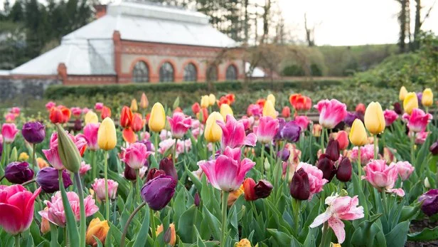 biltmore estate gardens free