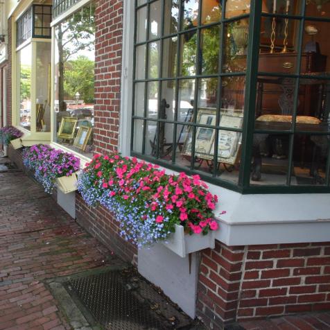 Window Box Design Ideas and Plant Options | Topics | HGTV