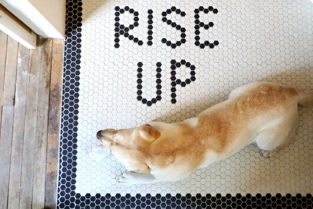 Funny Tile Messages in Mudrooms, Bathrooms and More | HGTV