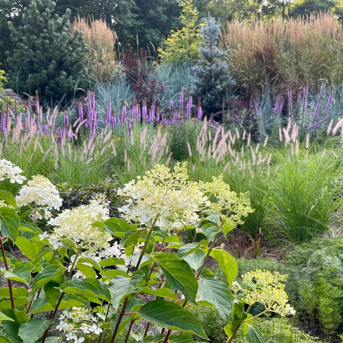 Sifford Garden Design | HGTV