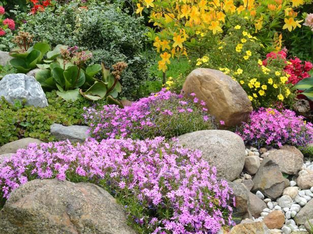 How to Choose Landscaping Plants | HGTV