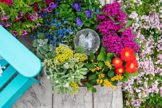 How to Plant a Rainbow Container Garden | HGTV