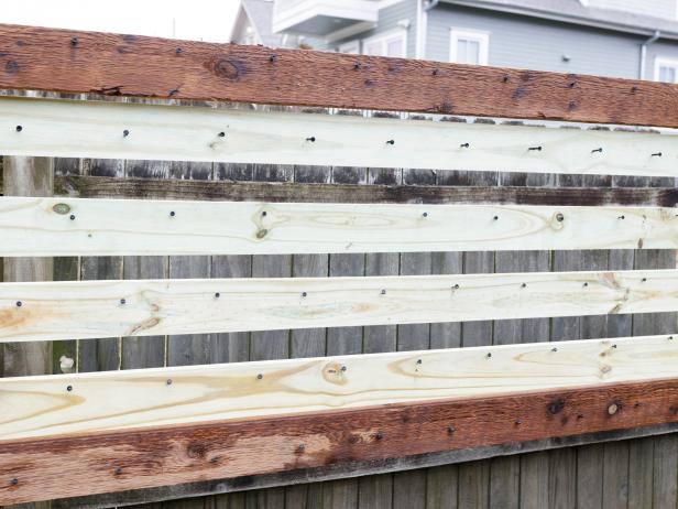 How to Build an Outdoor Living Wall | HGTV