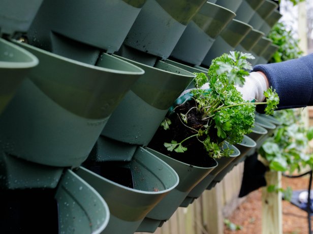 How to Build an Outdoor Living Wall | HGTV