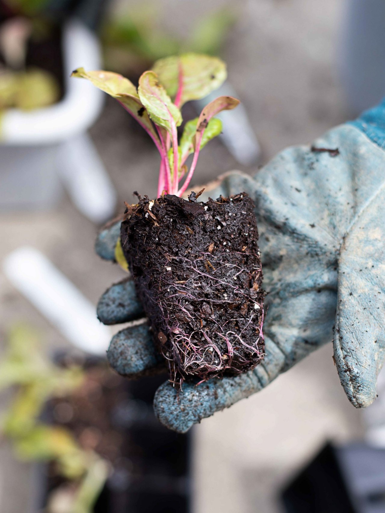 How to Make an Elevated Planter From an Upcycled Desk | HGTV